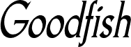 Goodfish Bold Italic font | Fonts2u.com