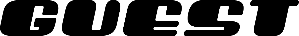 Guest Italic font | Fonts2u.com