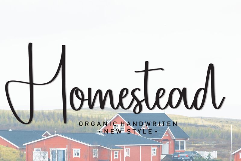 Homestead font | Fonts2u.com