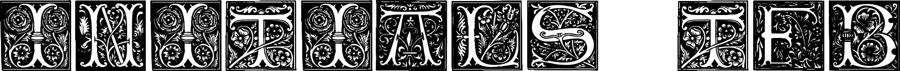 Initials TFB font | Fonts2u.com