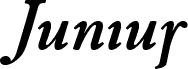Junius Bold font | Fonts2u.com