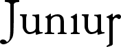 Junius Bold font | Fonts2u.com