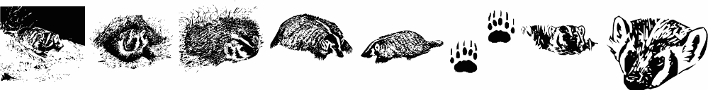 KR Crystal's Badgers font | Fonts2u.com