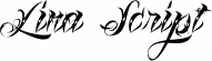 Lina Script Demo font | Fonts2u.com