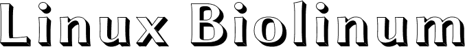 Linux Biolinum O font | Fonts2u.com
