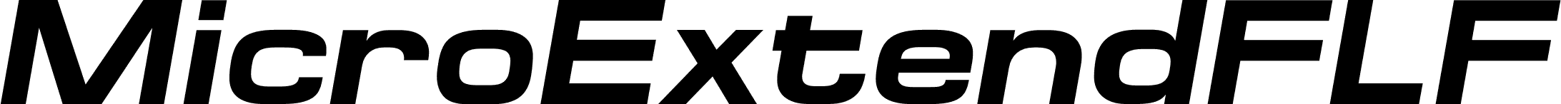 MicroExtendFLF-BoldItalic font | Fonts2u.com