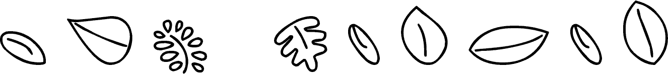 MTF Leaves font | Fonts2u.com