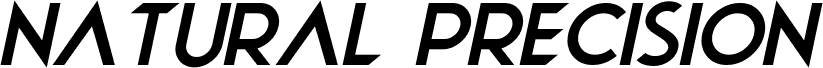 Natural Precision font | Fonts2u.com