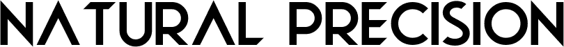 Natural Precision Italic font | Fonts2u.com