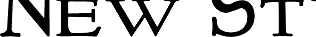 NewStyle font
