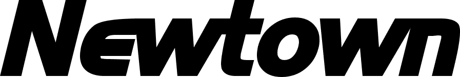 Newtown Bold Italic font