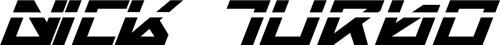 Nick Turbo Bold Expanded ItLas font | Fonts2u.com