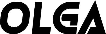 Olga Bold Italic font | Fonts2u.com