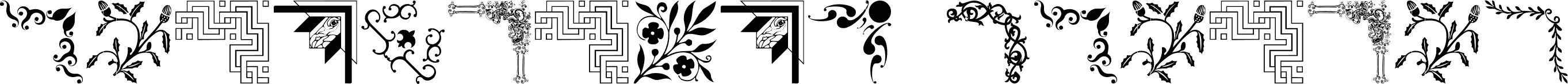 Ornamental Corners font | Fonts2u.com