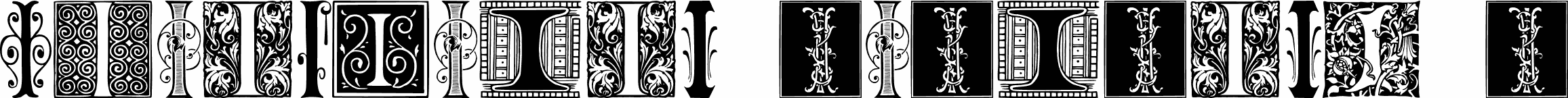 Ornamental Initials I font | Fonts2u.com