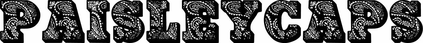 PaisleyCaps font | Fonts2u.com