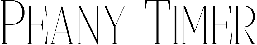 Peany Timer font | Fonts2u.com