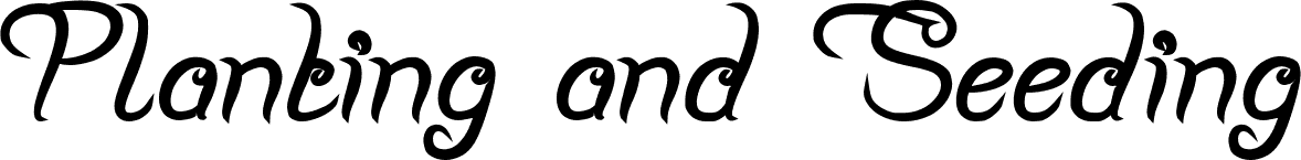 Planting and Seeding Bold font | Fonts2u.com