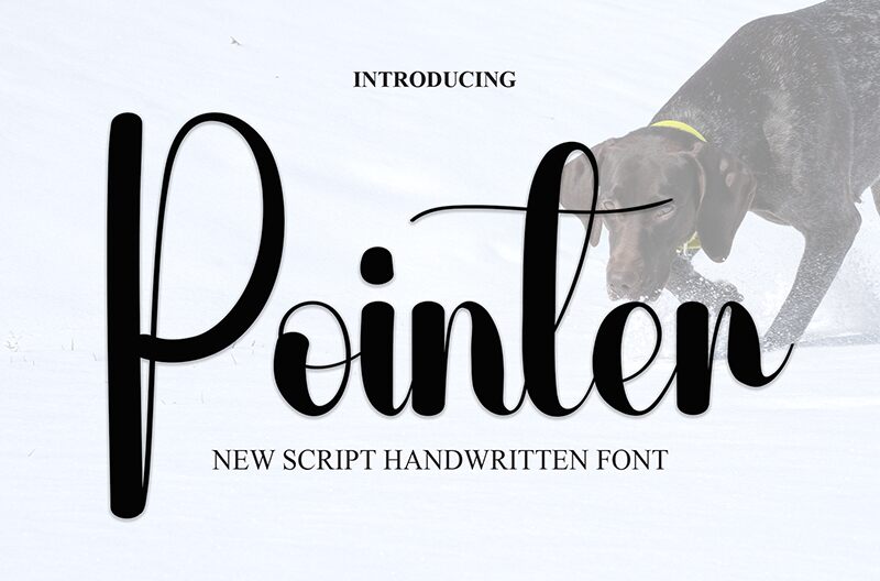 Pointer font | Fonts2u.com