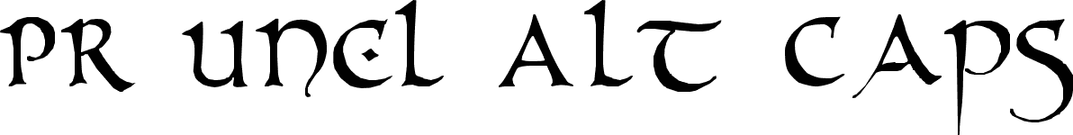 PR Uncial Alternate Capitals font | Fonts2u.com