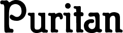 Puritan Bold Italic font