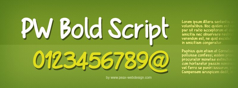 PWBoldScript font | Fonts2u.com