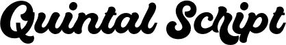 Quintal Script PERSONAL USE ONLY Bold font | Fonts2u.com