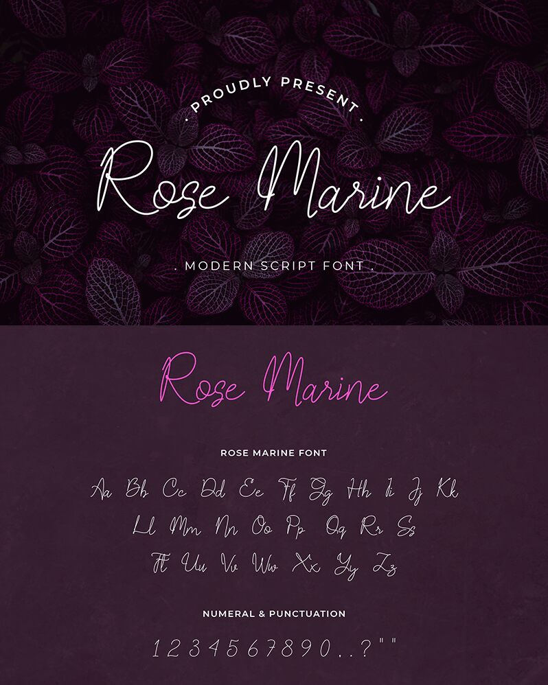 Rose Marine font | Fonts2u.com