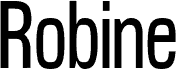 Robine Rough Regular Demo font | Fonts2u.com