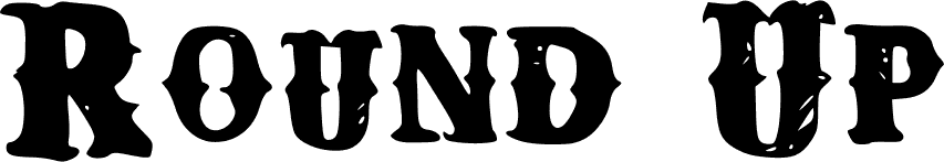 Round Up font | Fonts2u.com