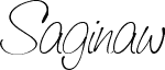 Saginaw Bold font