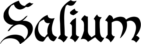 Salium font | Fonts2u.com