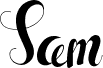 SAM Display font | Fonts2u.com