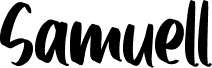 Samuell Textured - DEMO font | Fonts2u.com