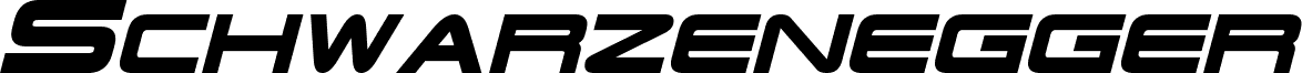 Schwarzenegger font