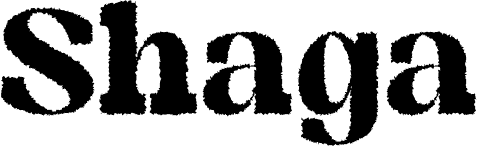 Shaga Rough Regular Demo font | Fonts2u.com