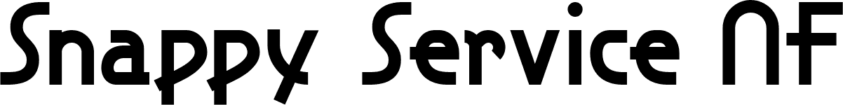 Snappy Service NF font | Fonts2u.com