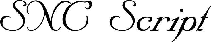 SNC Script Italic font | Fonts2u.com