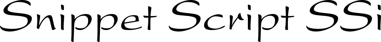 Snippet Script SSi font | Fonts2u.com