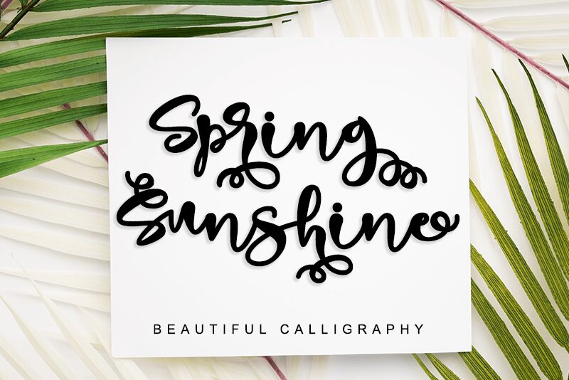 Spring Sunshine _ Personal Use font | Fonts2u.com