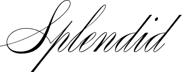 Splendid ES font | Fonts2u.com