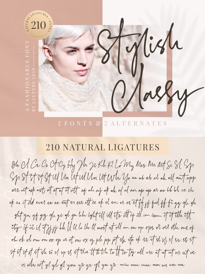 Stylish Classy Font font | Fonts2u.com