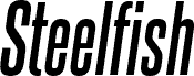 Steelfish Extra Bold font | Fonts2u.com