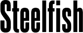 Steelfish Bold Italic font | Fonts2u.com