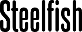 Steelfish Regular font | Fonts2u.com