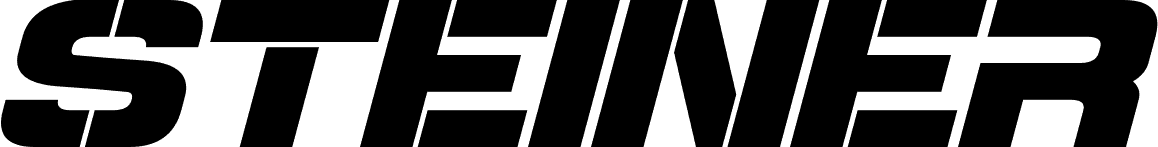 Steiner Italic font | Fonts2u.com