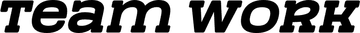 TeamWork font | Fonts2u.com
