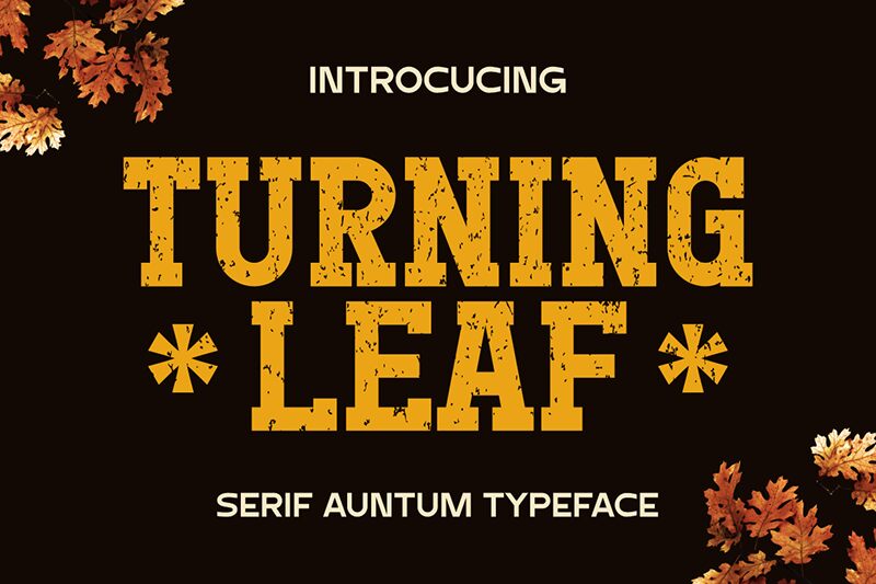 TURNING LEAVES font | Fonts2u.com