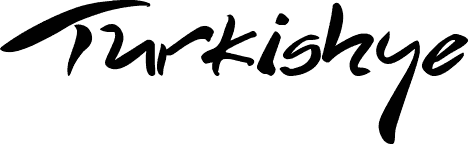 Turkishye font | Fonts2u.com