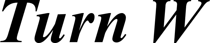 Turn W Bold Italic font | Fonts2u.com